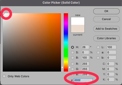 white color background code